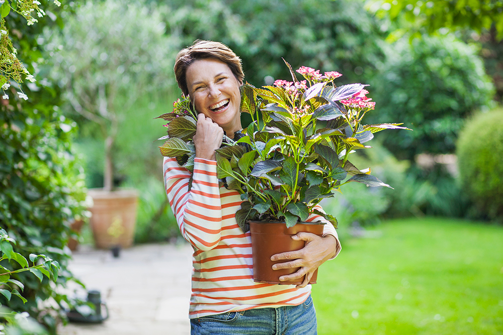 Suzannah H - Mustard Model Agency